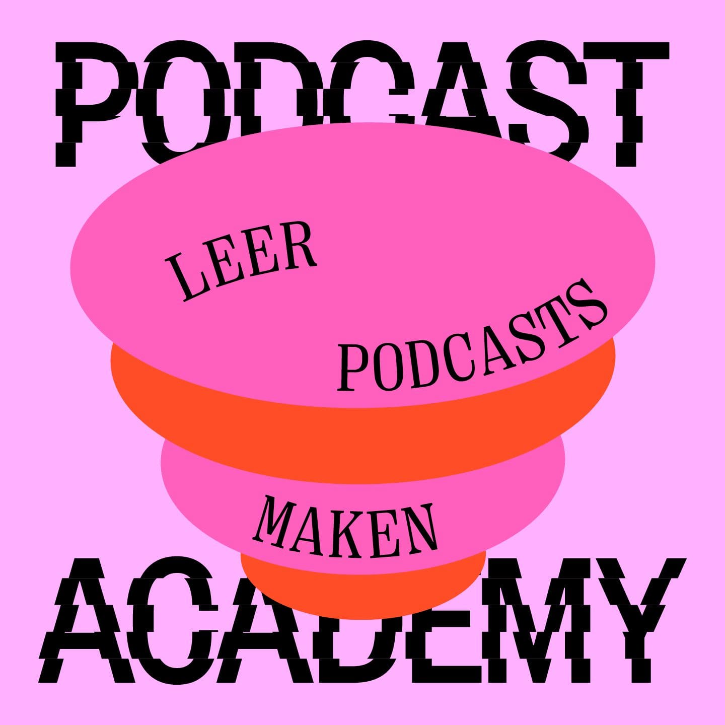 Podcast Academy x NPO-fonds 2026 - Oorzaken